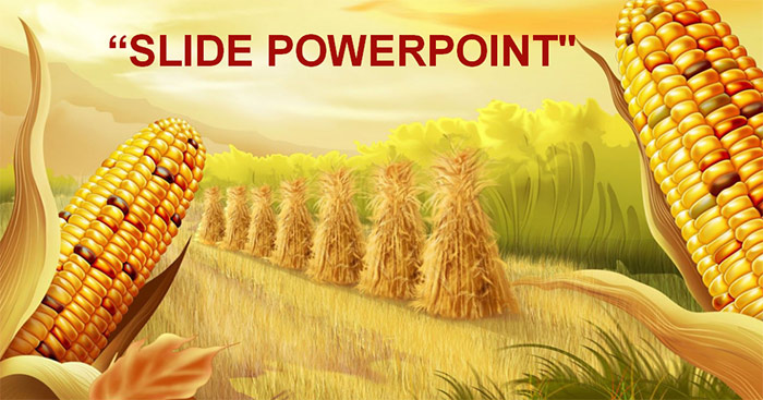 Bộ 50 Slide đẹp cho PowerPoint - Slide Powerpoint đẹp phục vụ thuyết trình