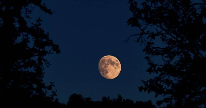 Suy nghĩ về khổ thơ kết thúc bài Ánh trăng (10 mẫu) - Văn 9