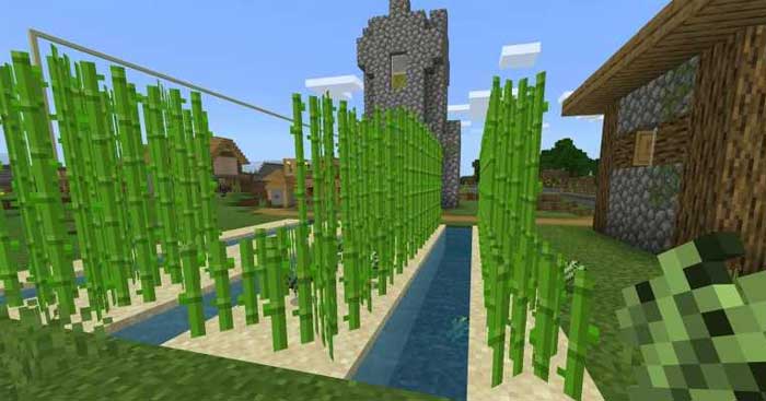 Cách trồng mía trong Minecraft hiệu quả nhất - Download.vn