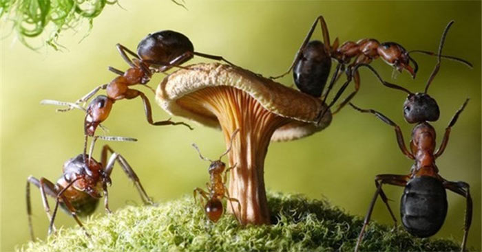 Siêng năng, kiên trì - GDCD 6 sách Chân trời sáng tạo