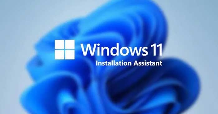 Cách dùng Windows 11 Installation Assistant để cài Windows 11
