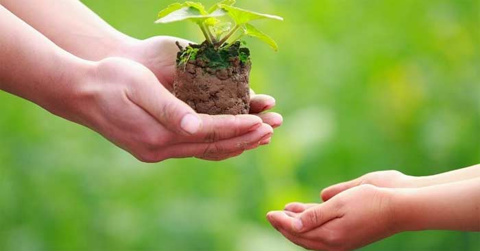 Quan tâm cảm thông và chia sẻ - GDCD 7 sách Cánh diều