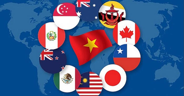 Unit 7 Lớp 10: Reading (trang 79) - Global Success