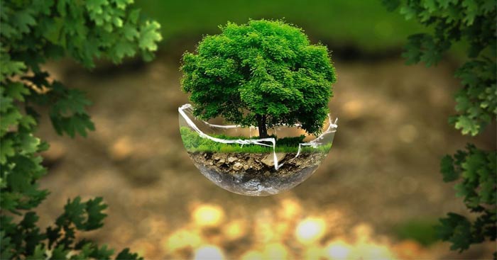 Unit 9 Lớp 10: Reading (trang 103) - Global Success
