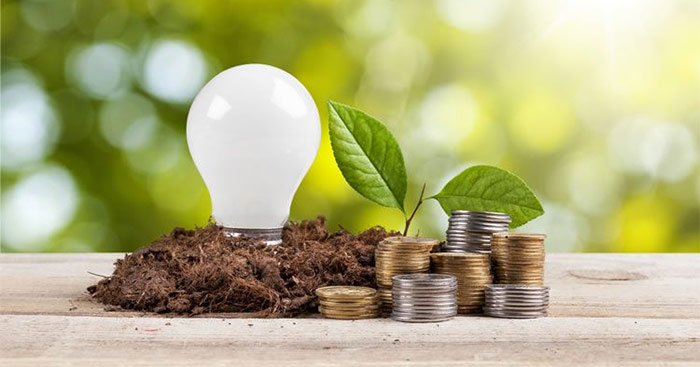 Unit 10 Lớp 7: Project (trang 113) - Global Success