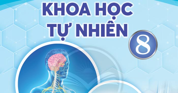 Giáo án KHTN 8 Chân trời sáng tạo năm 2024 - 2025