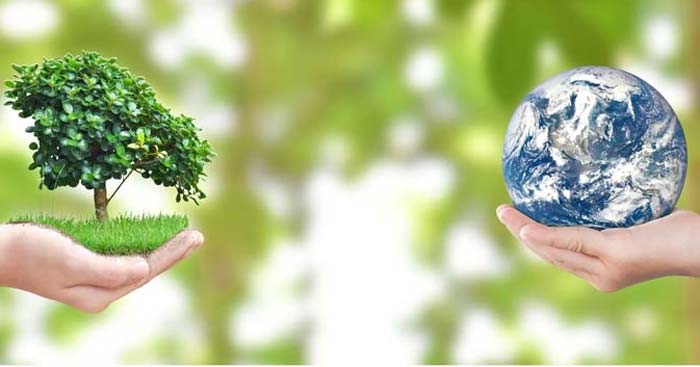 Make a plan for a Go Green Weekend event