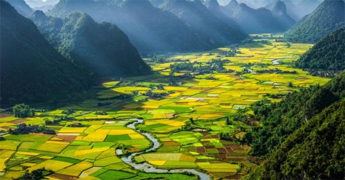 Việt Nam ở trong trái tim tôi - Tiếng Việt 5 Cánh diều tập 2