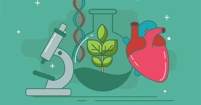 Giáo án Sinh học 6 Kết nối tri thức (Cả năm)
